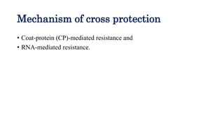 Cross protection | PDF | Gardening | Home & Garden