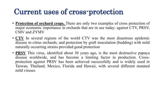 Cross protection | PDF | Gardening | Home & Garden
