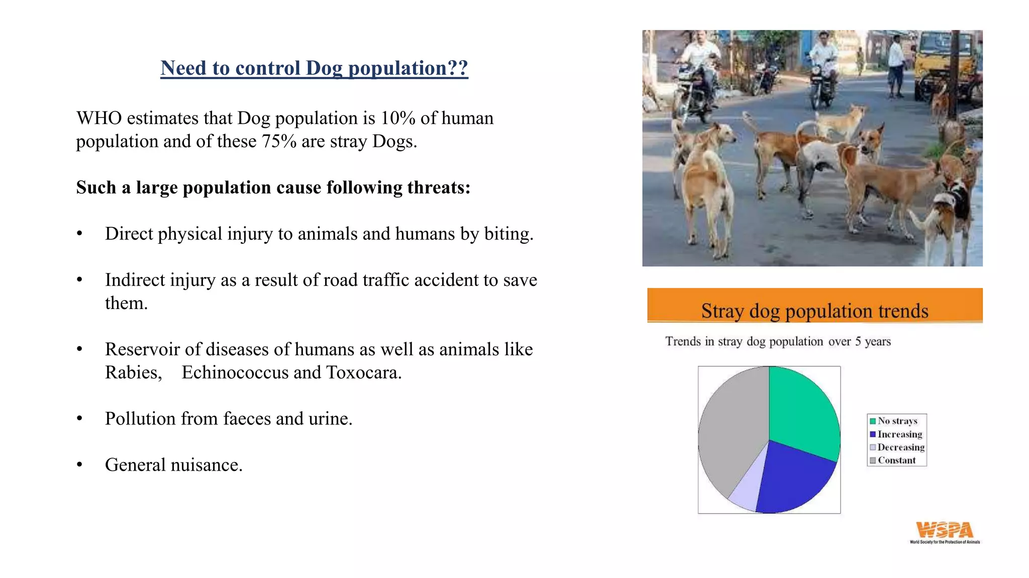 Medicinal & Surgical Techniques of Population control in dogs | PPTX