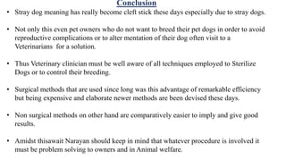 Medicinal & Surgical Techniques of Population control in dogs | PPTX
