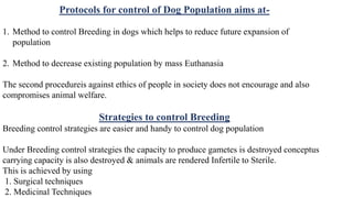Medicinal & Surgical Techniques of Population control in dogs | PPTX