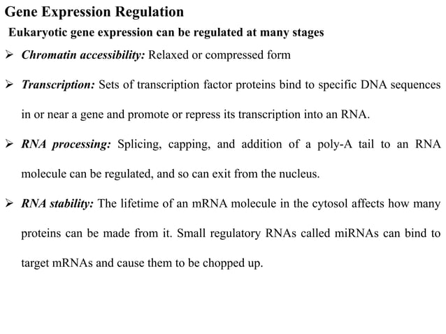 23. Gene expression regulation.pdf