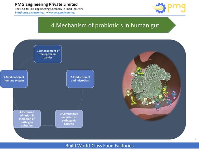 Probiotics and Prebiotics Drinks.pptx... | PPT