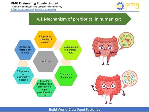Probiotics and Prebiotics Drinks.pptx... | PPT