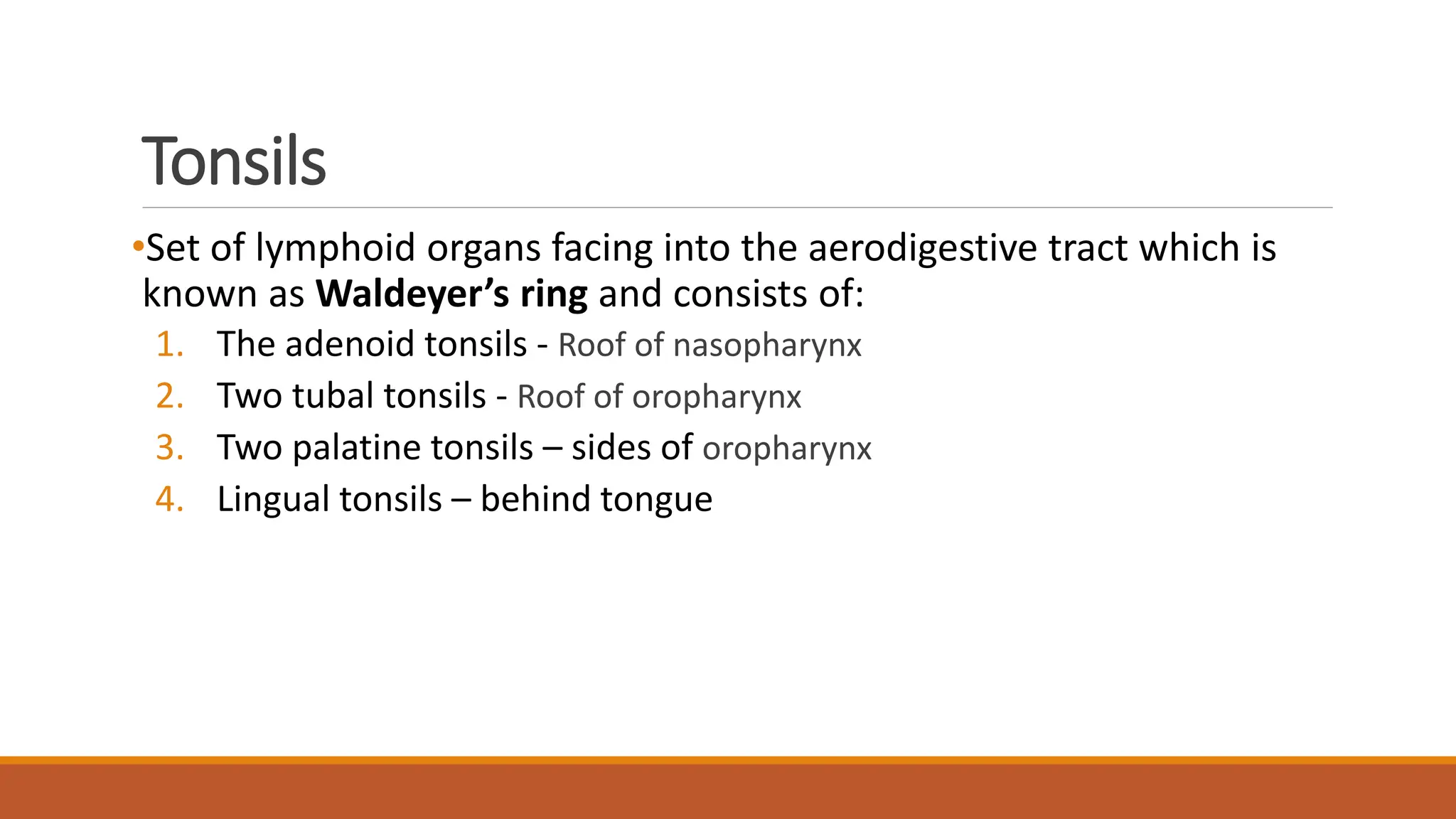 23. Lymphatic organs.physiology of lymphatic system.pptx