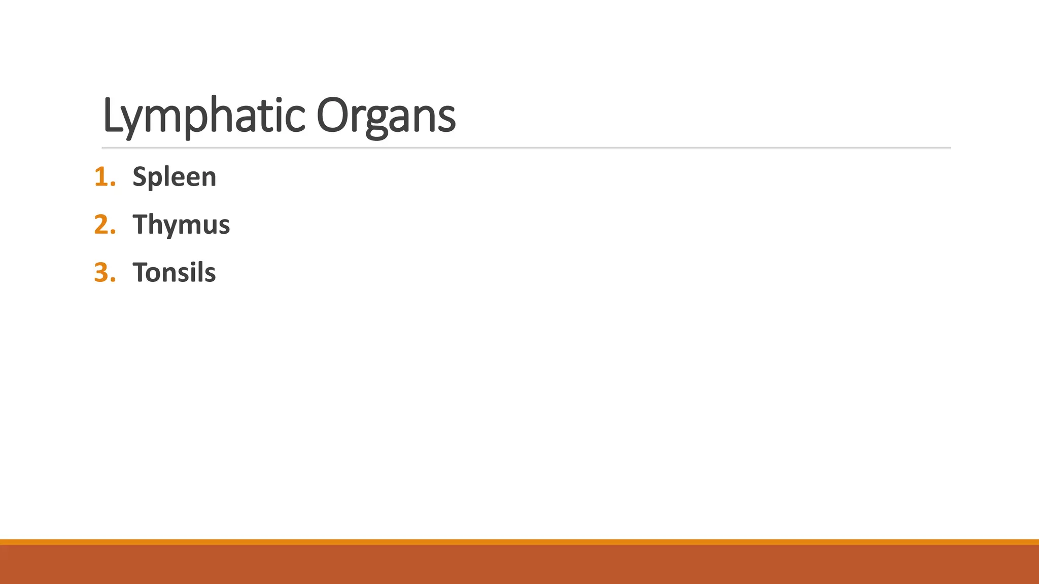23. Lymphatic organs.physiology of lymphatic system.pptx
