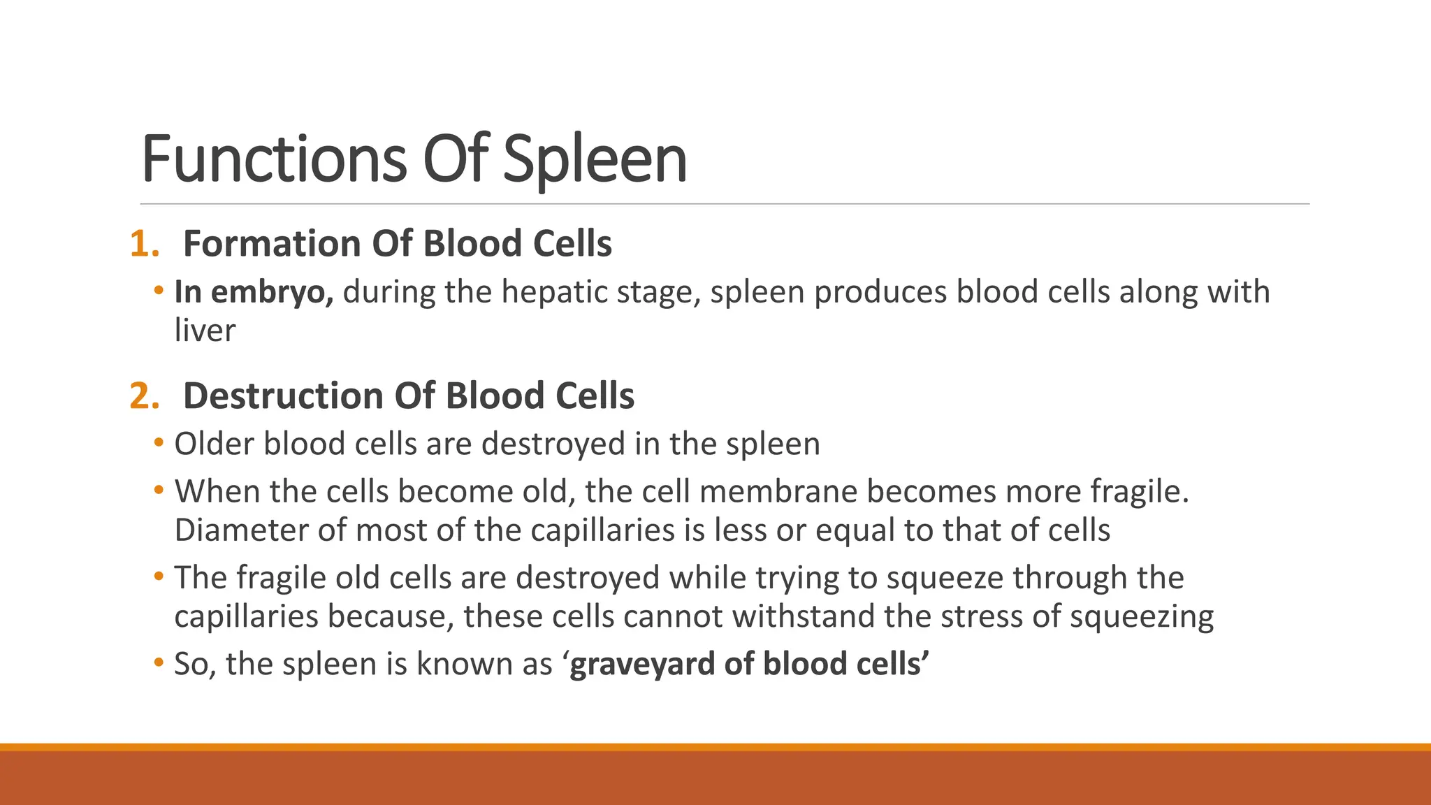 23. Lymphatic organs.physiology of lymphatic system.pptx