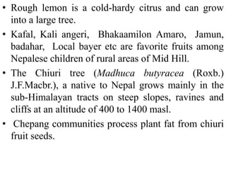 23. Importance and prospect of Indigenous horticulture crops.pptx ...