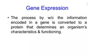 DPT - Biochemistry & Genetics - II (Molecular Biology) Regulation of ...