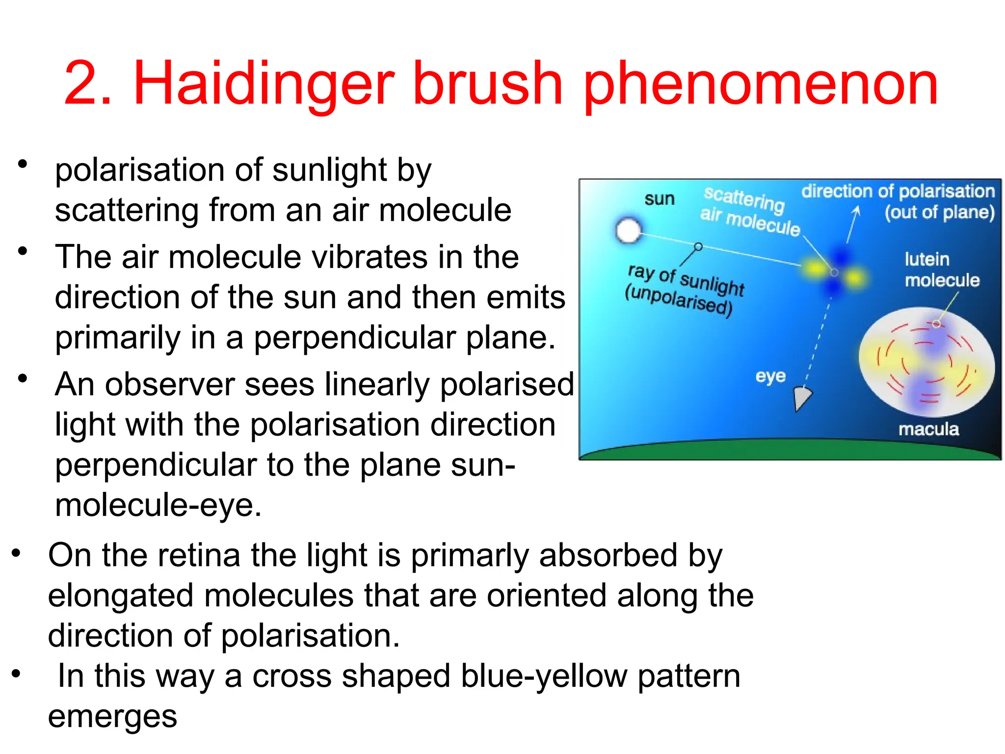 23. physical optics ophthalmology- Rahul.pptx