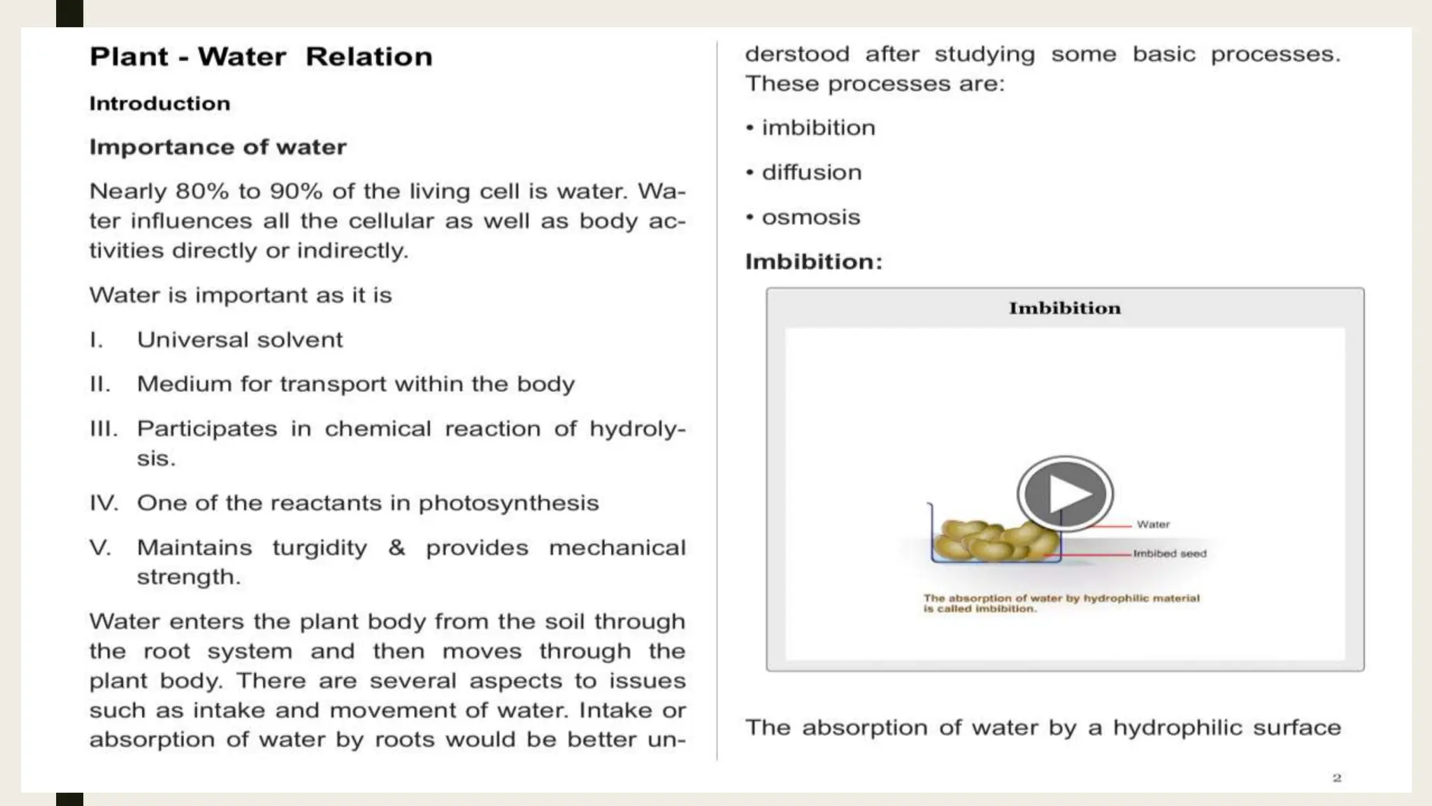 Plant water relations | PPTX