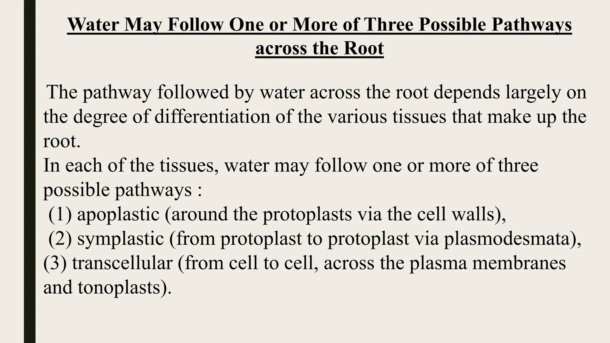 Plant water relations | PPTX