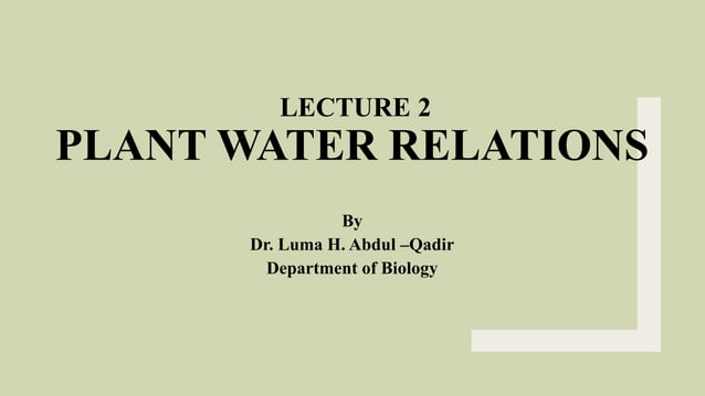 Plant water relations | PPTX | Biological Sciences | Science