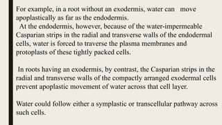 Plant water relations | PPTX