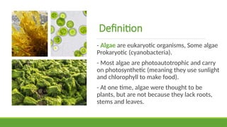 23. Algae and its Classification .pptx