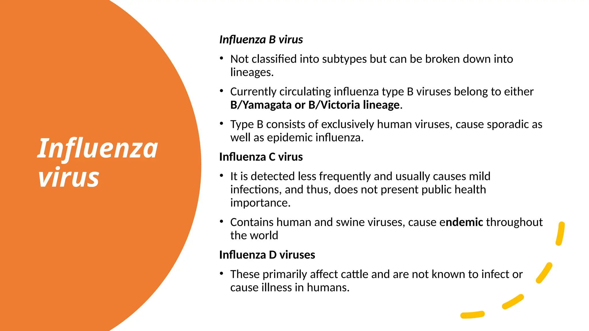 23.Infectionsoftherespiratorysystem(B).pptx