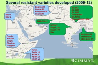 23 25 jan 2013 csisa kathmandu arun joshi | PPT