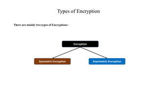Encryption in Cryptography | PPTX