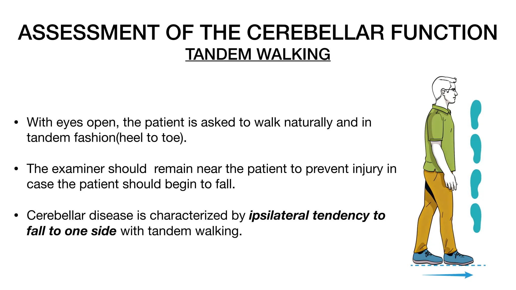 Assessment of the Cerebellar Function.pdf