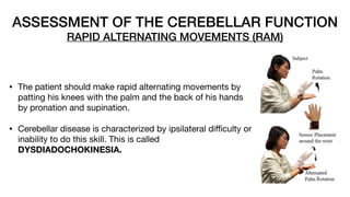 Assessment of the Cerebellar Function.pdf | Foot Health | Diseases and ...