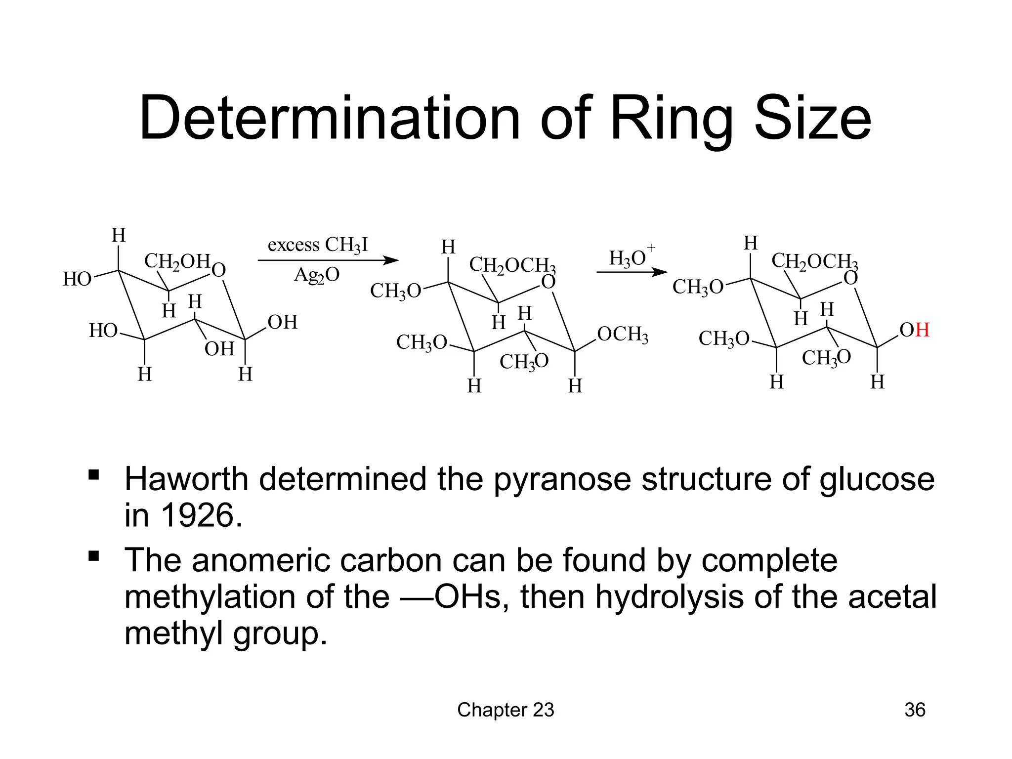23 - Carbohydrates and Nucleic Acids - Wade 7th | PPT