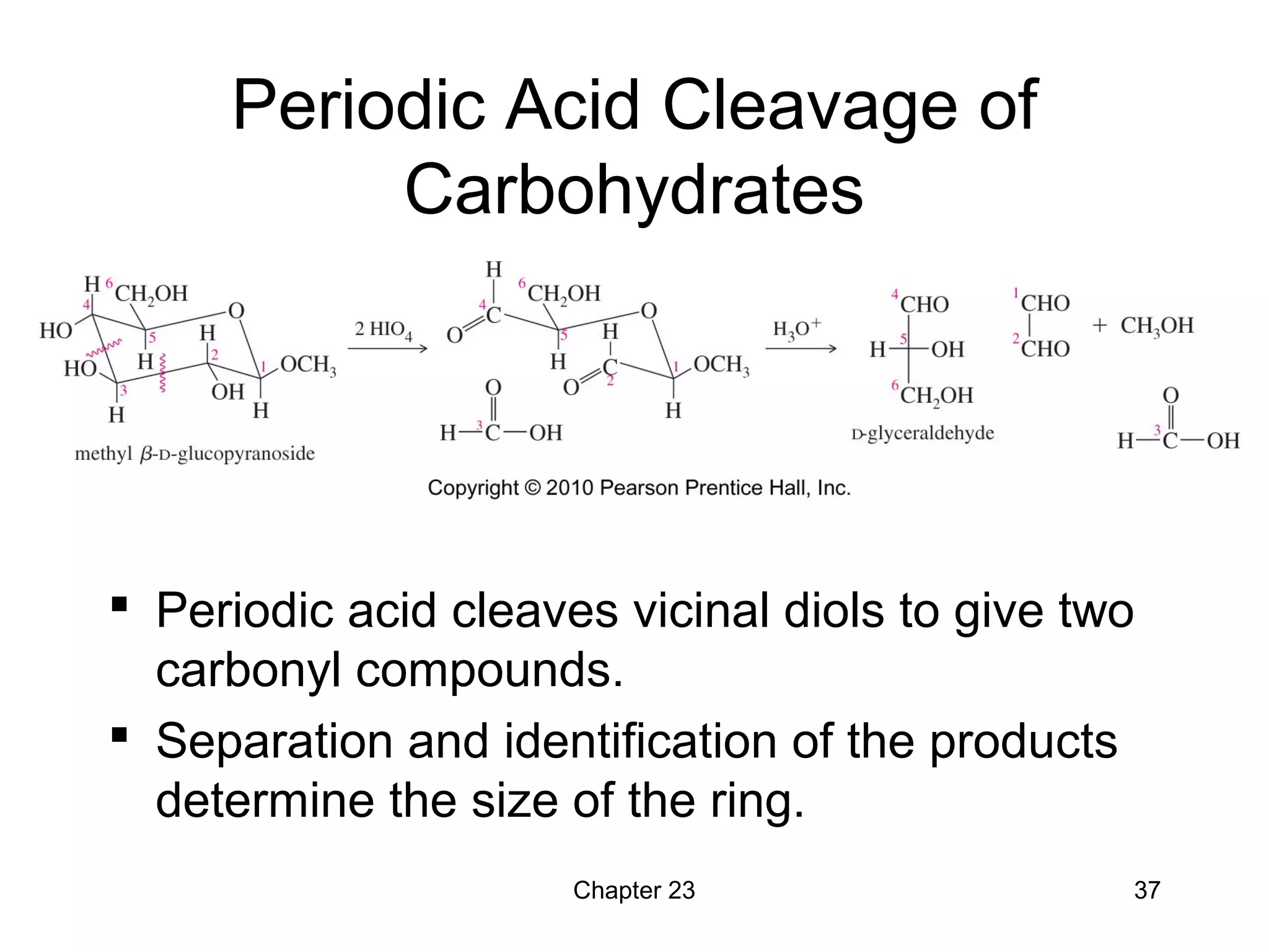 23 - Carbohydrates and Nucleic Acids - Wade 7th | PPT