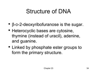 Deoxyribofuranose