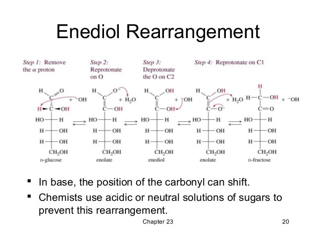 23 - Carbohydrates and Nucleic Acids - Wade 7th