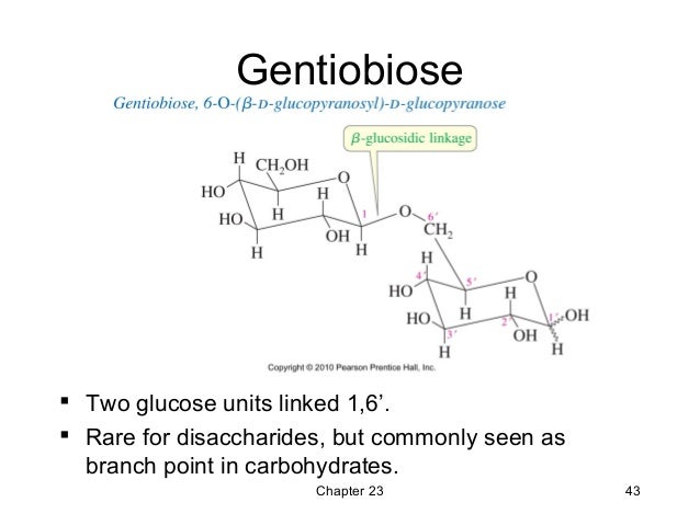 23 - Carbohydrates and Nucleic Acids - Wade 7th