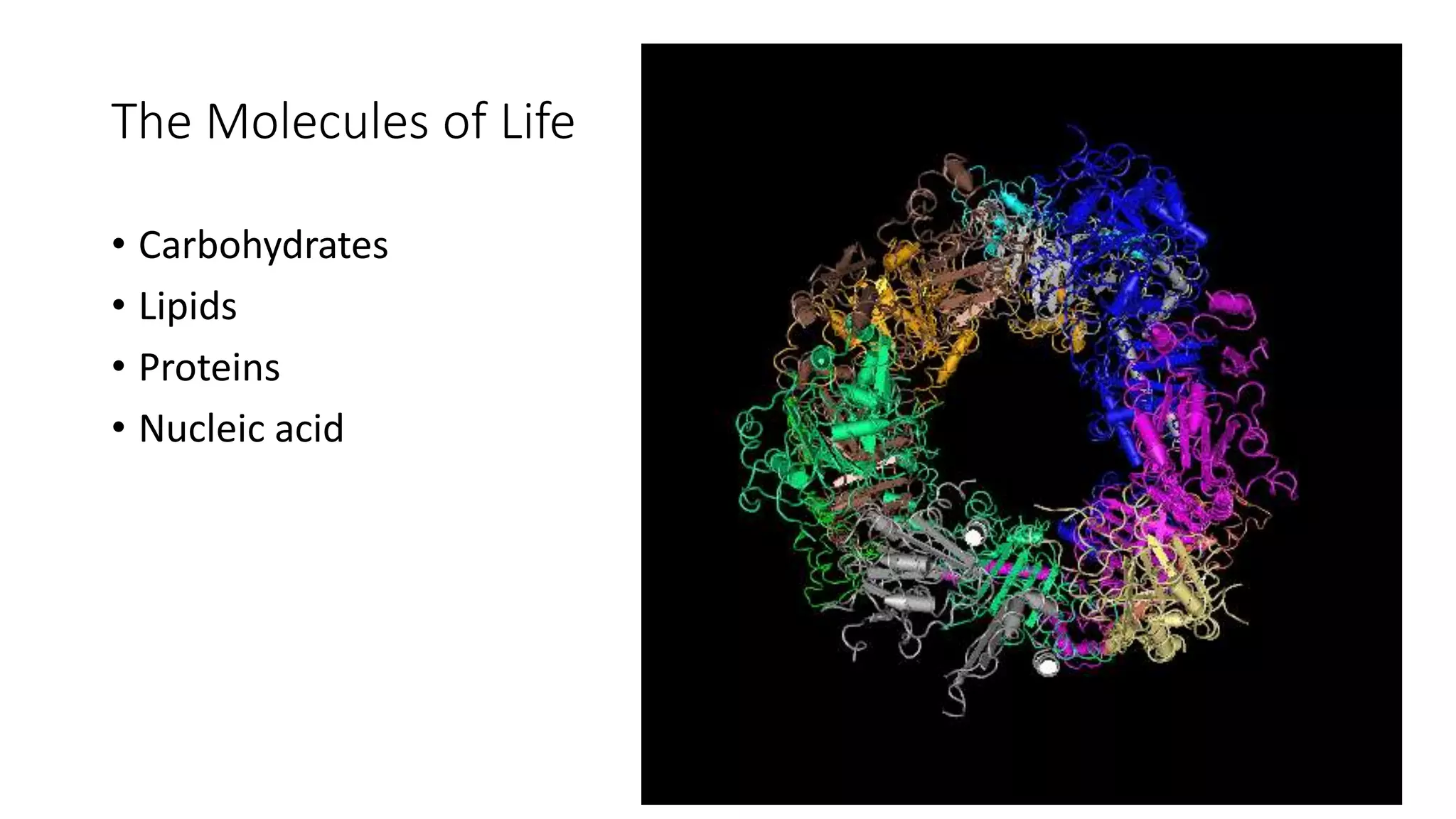 2 - Chemical Composition of the Cell - part 1 | PDF