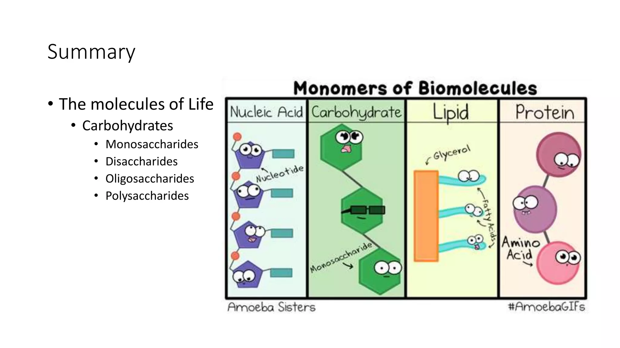 2 - Chemical Composition of the Cell - part 1 | PDF