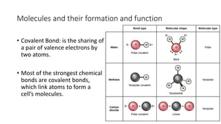 2 - Chemical Composition of the Cell - part 1 | PDF