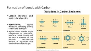 2 - Chemical Composition of the Cell - part 1 | PDF