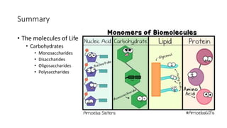 2 - Chemical Composition of the Cell - part 1 | PDF