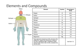 2 - Chemical Composition of the Cell - part 1 | PDF