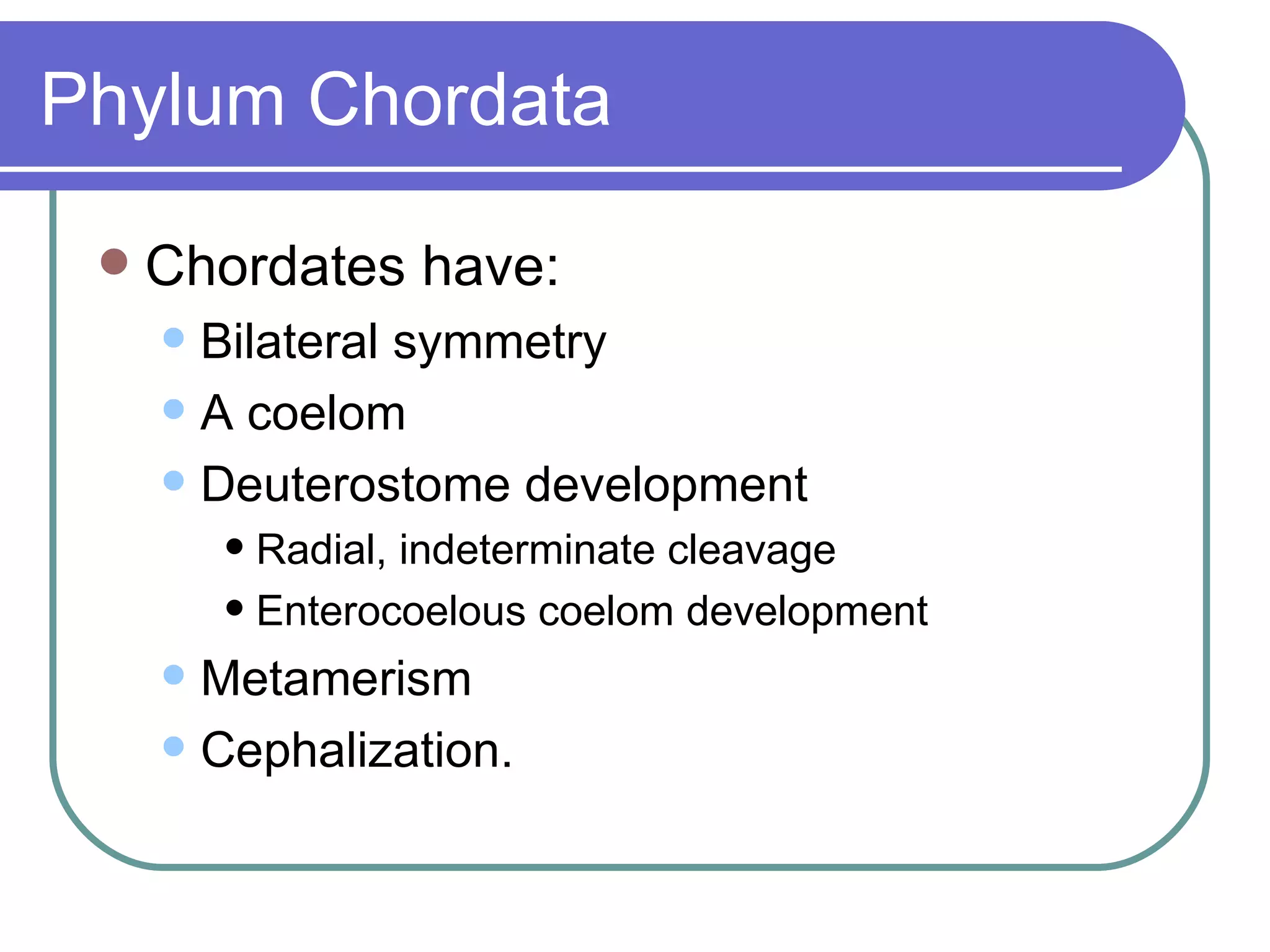 23. Chordates | PPT