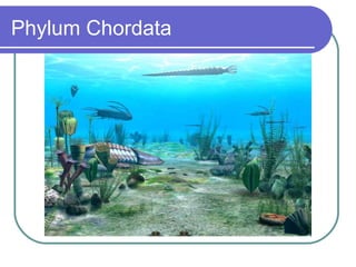 23. Chordates | PPT