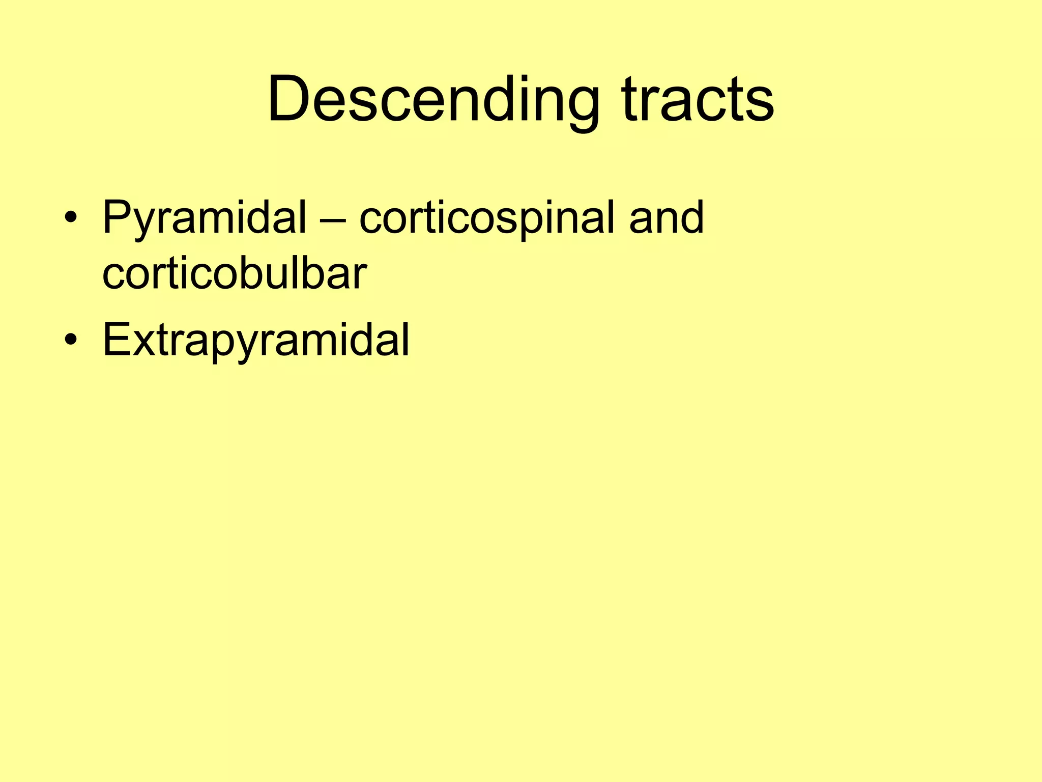 23-Descending tracts.ppt