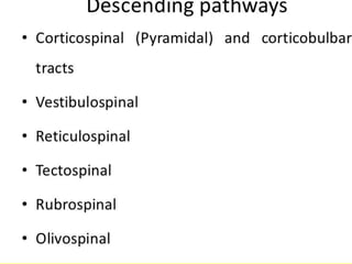23-Descending tracts.ppt
