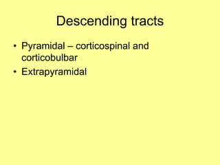 23-Descending tracts.ppt
