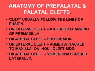23 introduction cleft lip & palate | PPT