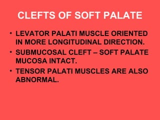 23 introduction cleft lip & palate | PPT