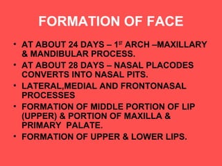 23 introduction cleft lip & palate | PPT