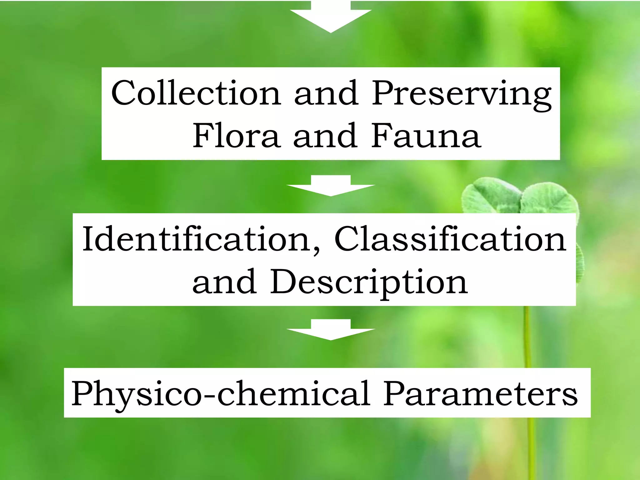 Biodiversity Status of Flora and Fauna in Mt. Palaopao, Manilo Fortich ...