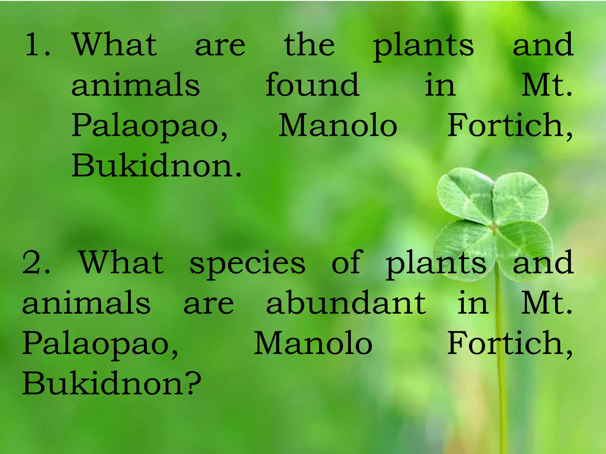 Biodiversity Status of Flora and Fauna in Mt. Palaopao, Manilo Fortich ...