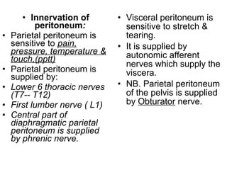 23 peritoneum | PPT