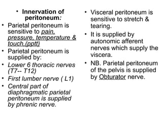 sistem digestive tentang organ peritoneum | PPT