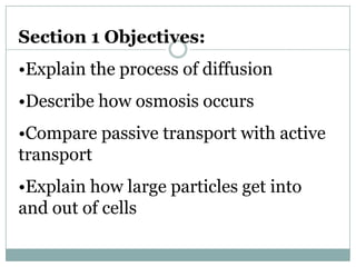 Powerpoint Metabolisme 1 | PPT | Biological Sciences | Science