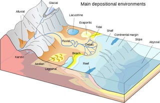 Stratigraphy-Exercise | PPTX
