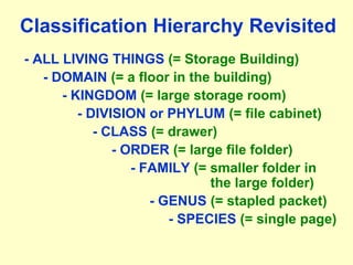 230-Classification-Systematics animal phylogeny.ppt